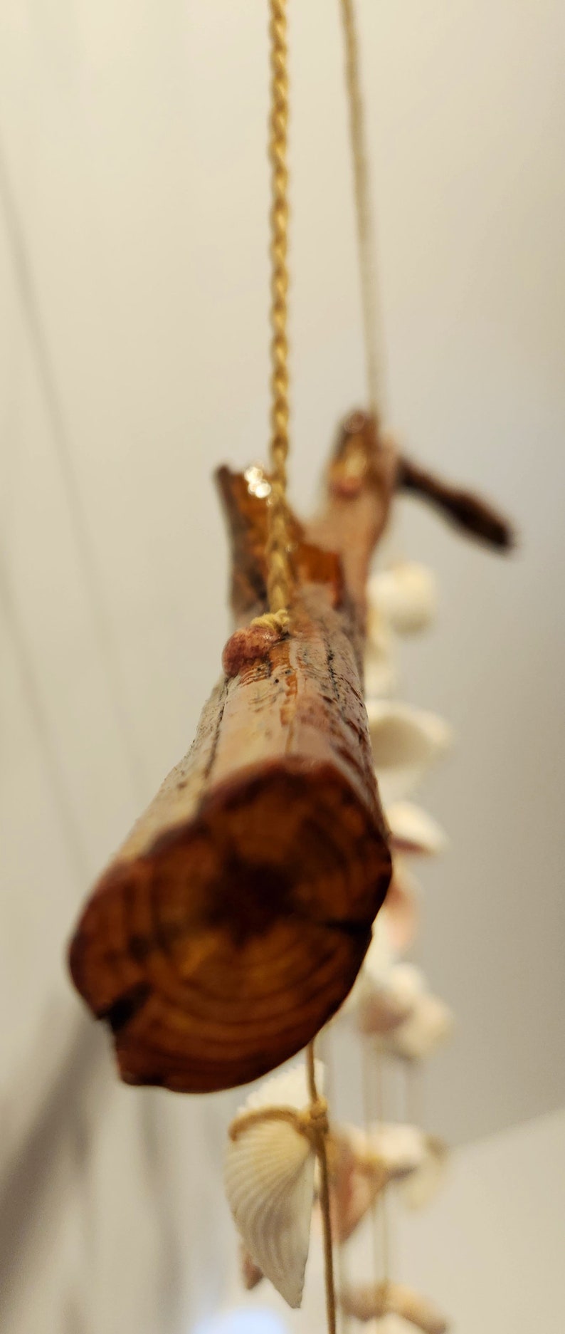 Handcrafted Well Made Sea Shell Wind Chime With a Stunning Lacquered ...