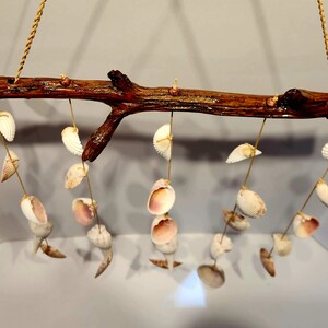 Handcrafted Well Made Sea Shell Wind Chime With a Stunning Lacquered ...