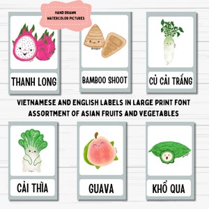 Fruits and Veggies Bilingual Flash Card Set 68 Cards English ...