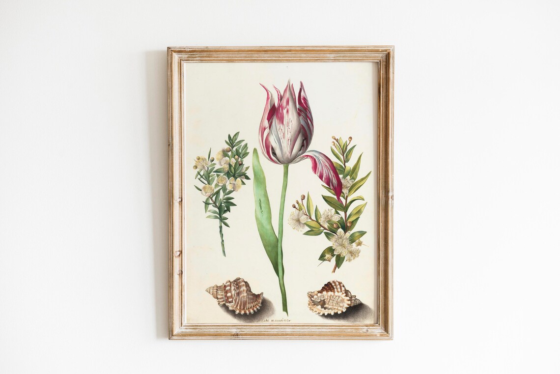 Vintage Botanical,wall Art , Downloadable Digital/ Tulip, Two Branches ...