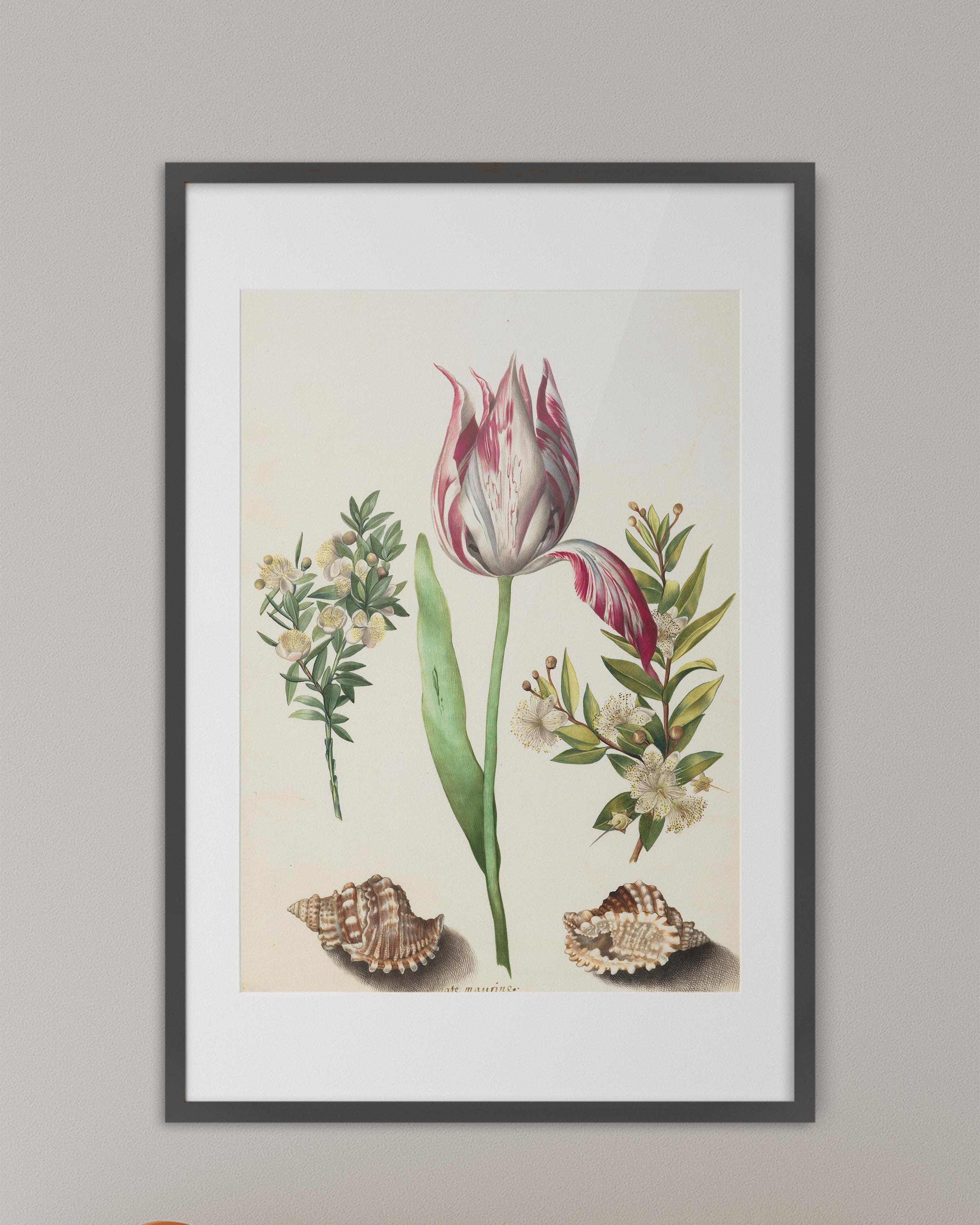 Vintage Botanical,wall Art , Downloadable Digital/ Tulip, Two Branches ...