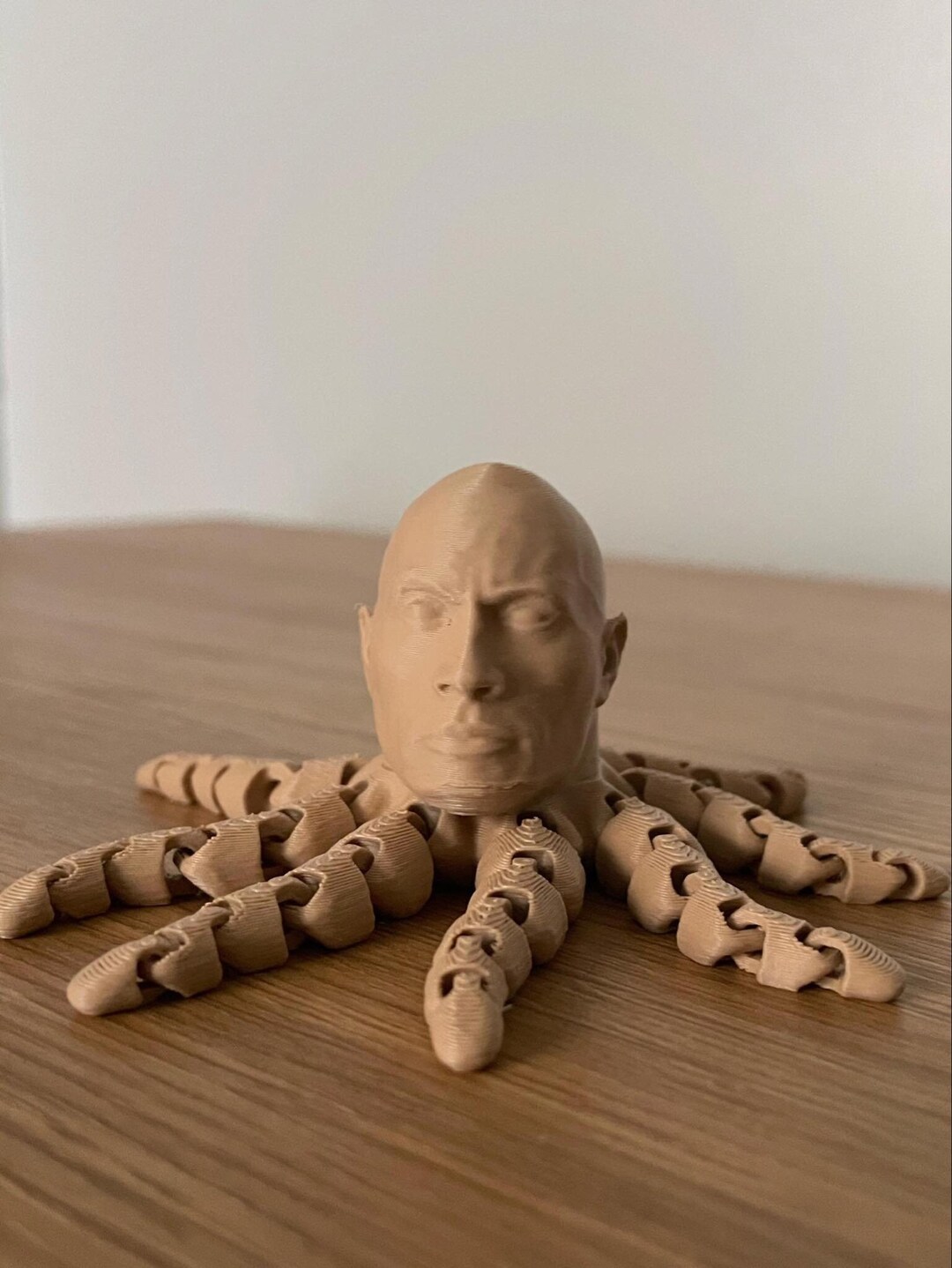 The Rocktopus 3D Printed Articulated Fidget Toy - Etsy