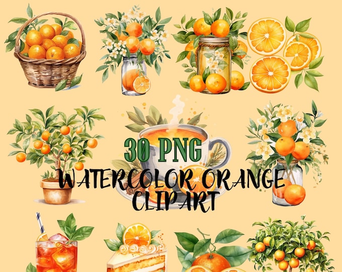 Watercolor Orange Clipart 10 JPG Watercolor Fruit Clipart, Citrus ...