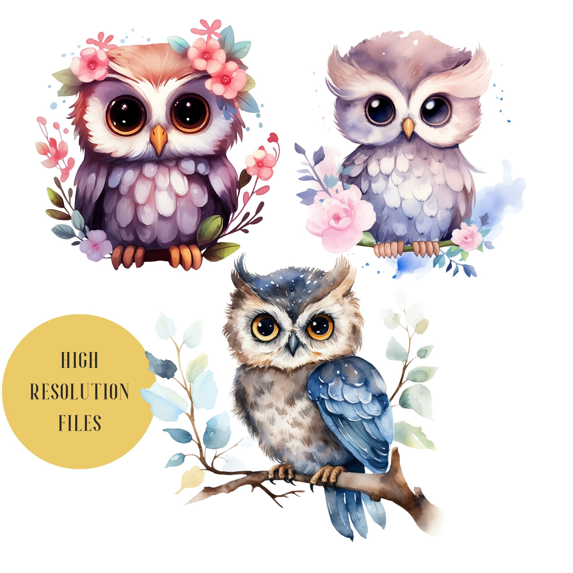 Watercolor Baby Owl PNG Bundle,cute Owl Png,cute Bird Nursery Png,cute ...