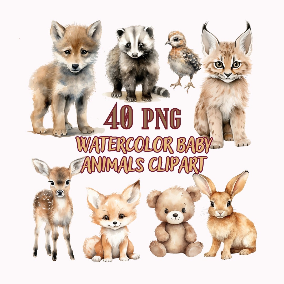 Watercolor Baby Animals Clipart,babyshower Designs Png,woodland Baby ...