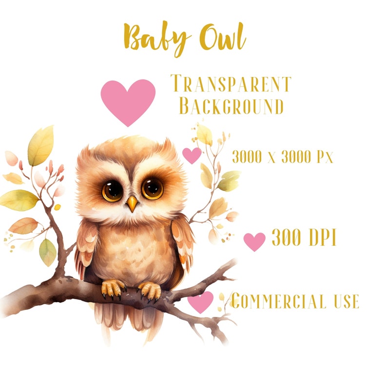 Watercolor Baby Owl PNG Bundle,cute Owl Png,cute Bird Nursery Png,cute Owl Clipart Png,cute Baby ...