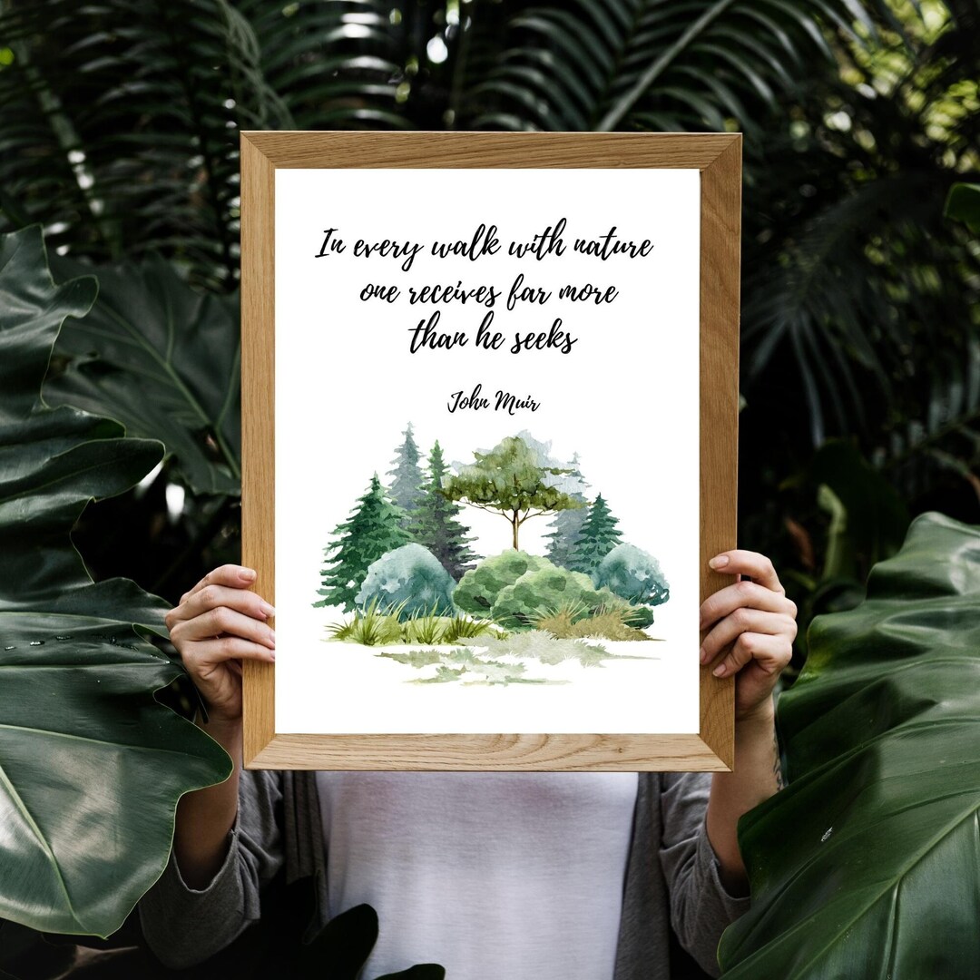 John Muir Quote,in Every Walk With Nature,john Muir Wall Art,nature ...