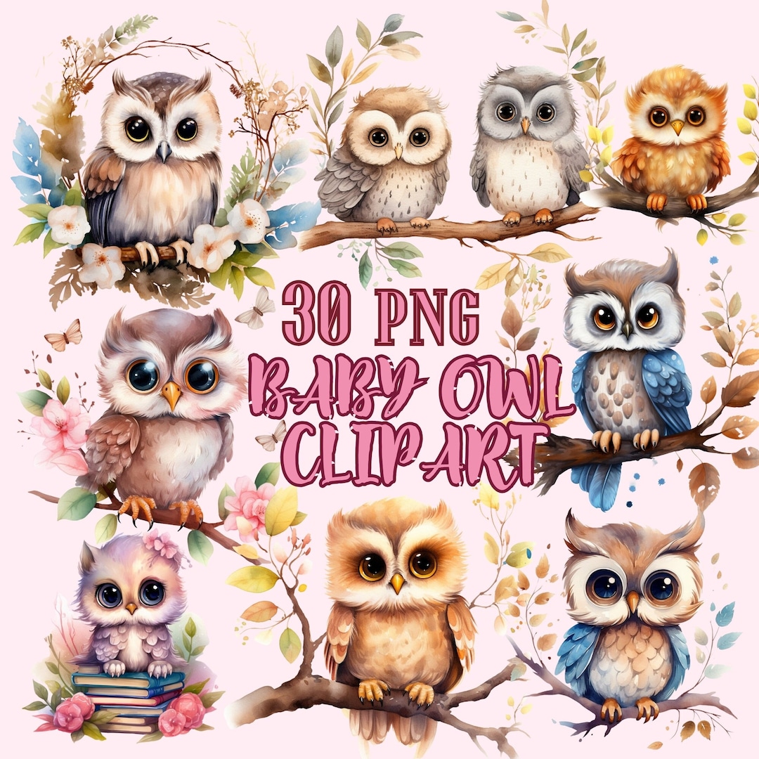 Watercolor Baby Owl PNG Bundle,cute Owl Png,cute Bird Nursery Png,cute ...
