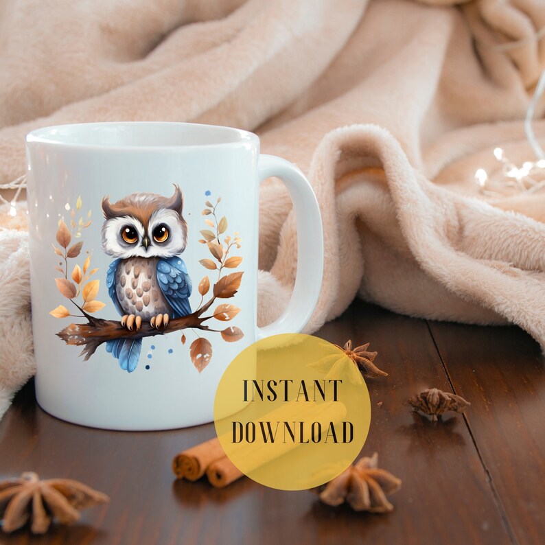 Watercolor Baby Owl PNG Bundle,cute Owl Png,cute Bird Nursery Png,cute ...