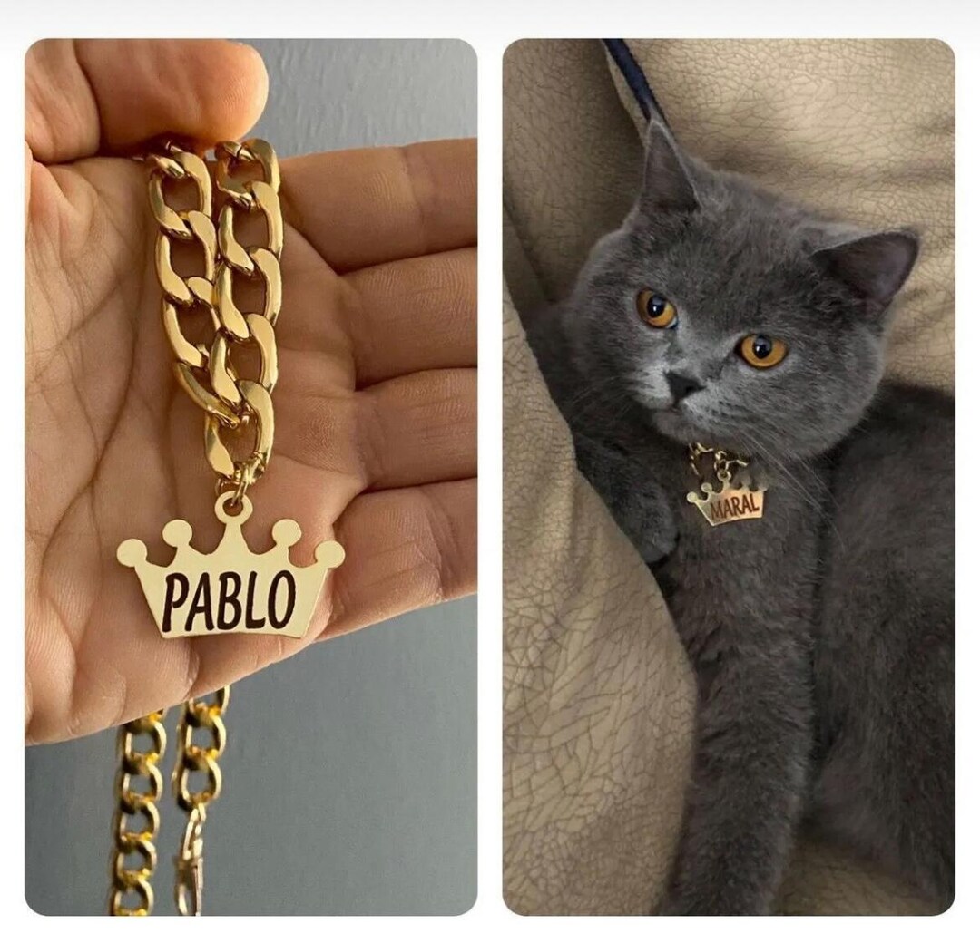 Personalized Cuban Link Cat Necklace, Cat Leash , Chain Leash ...