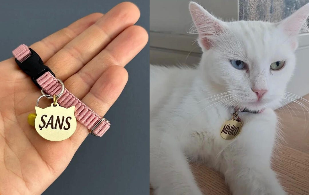 Personalized Cuban Link Cat Necklace, Cat Leash , Chain Leash ...