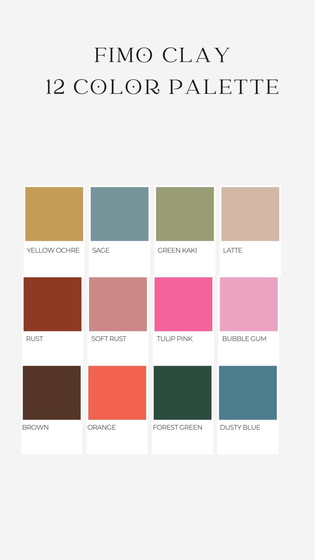 12 X Colours Bundle FIMO PROFESSIONAL Colors Receipe Color Mix Clay ...