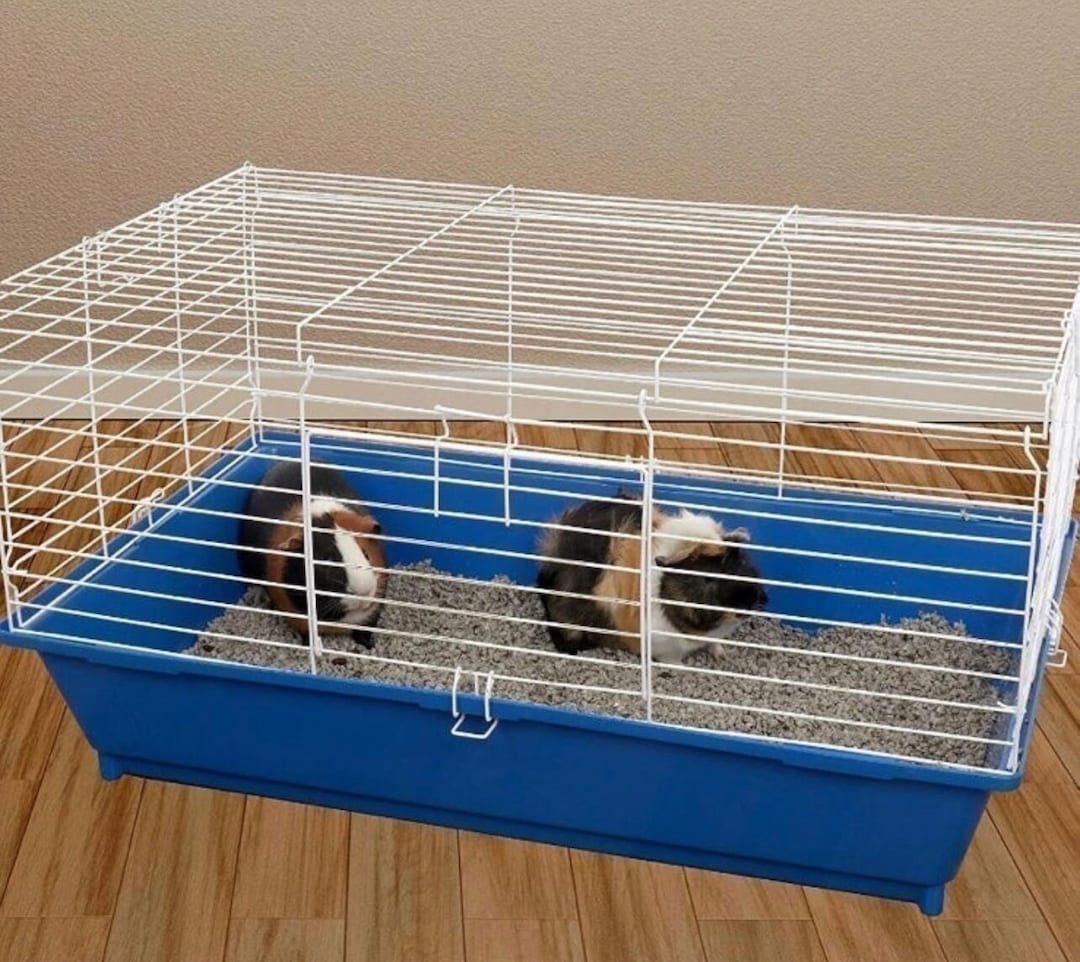 Ware Home Sweet Home Pet Cage - Large, 28" for Guinea Pig, Rabbit ...