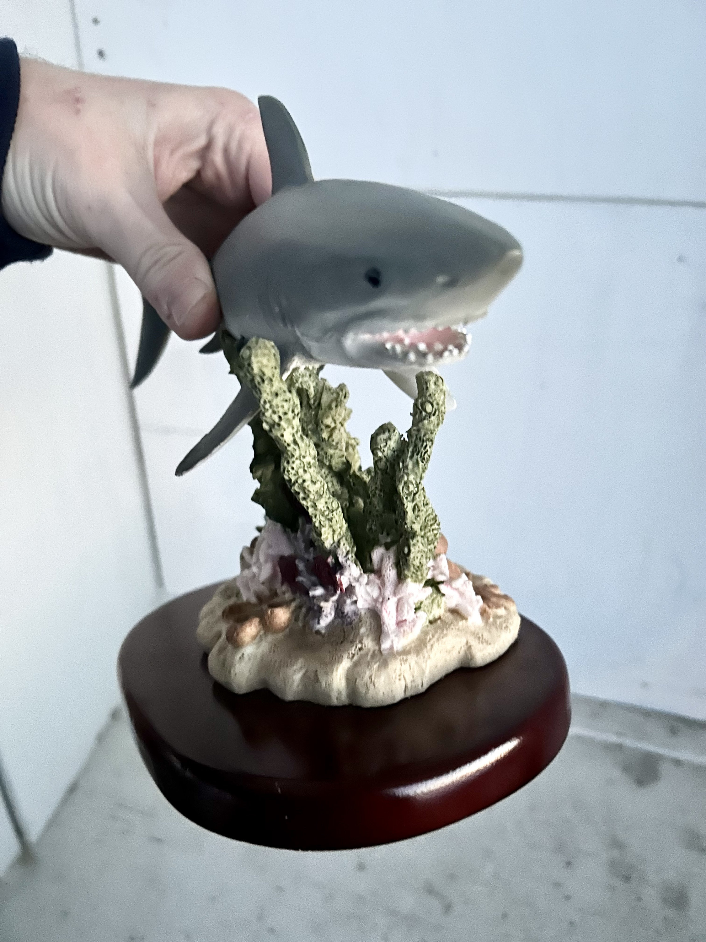 Shark Figurine Statue Swimming in Ocean Seaweed, Coral With Wooden Base ...