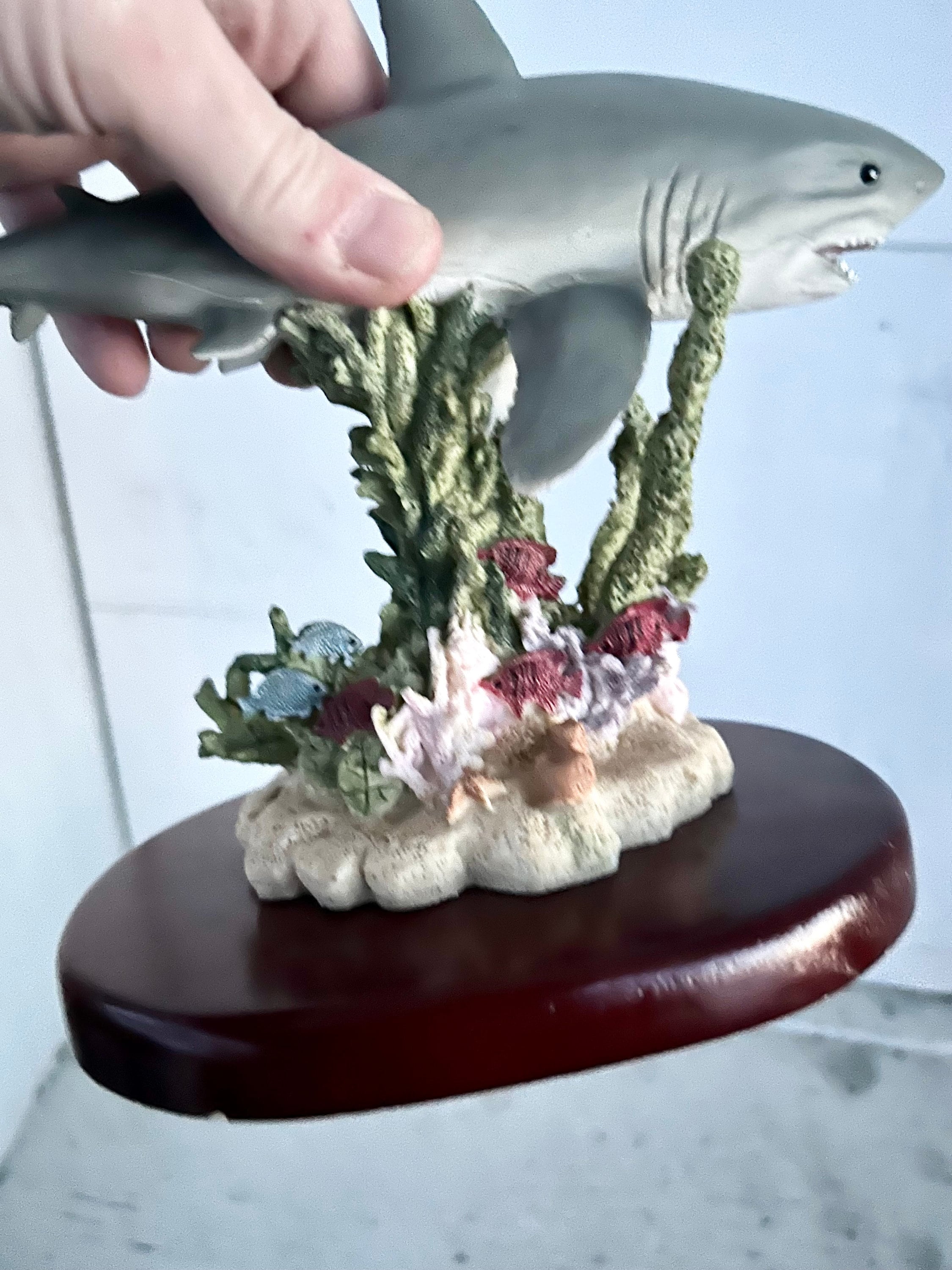 Shark Figurine Statue Swimming in Ocean Seaweed, Coral With Wooden Base ...
