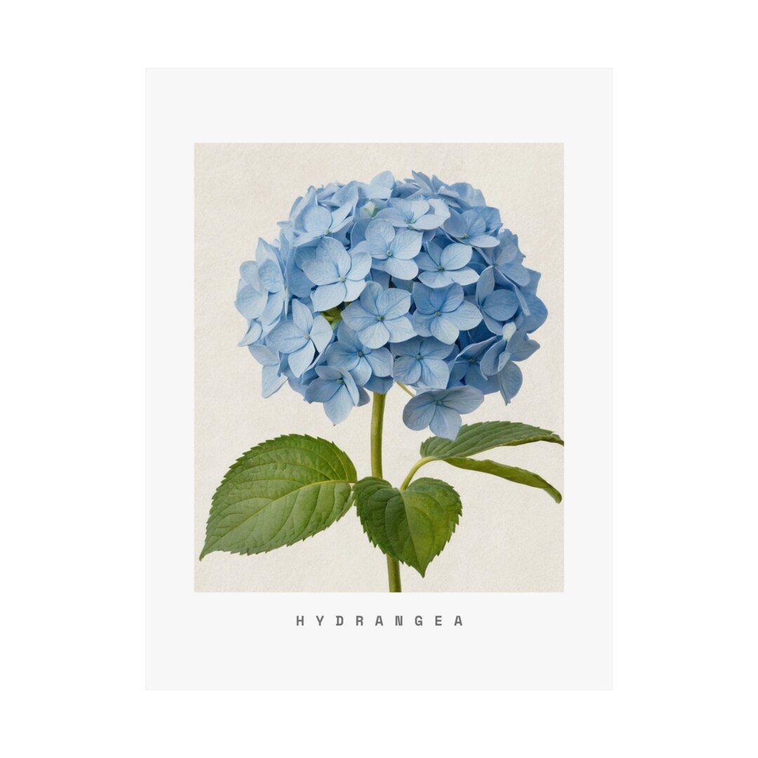 Blue Hydrangea Poster - Etsy