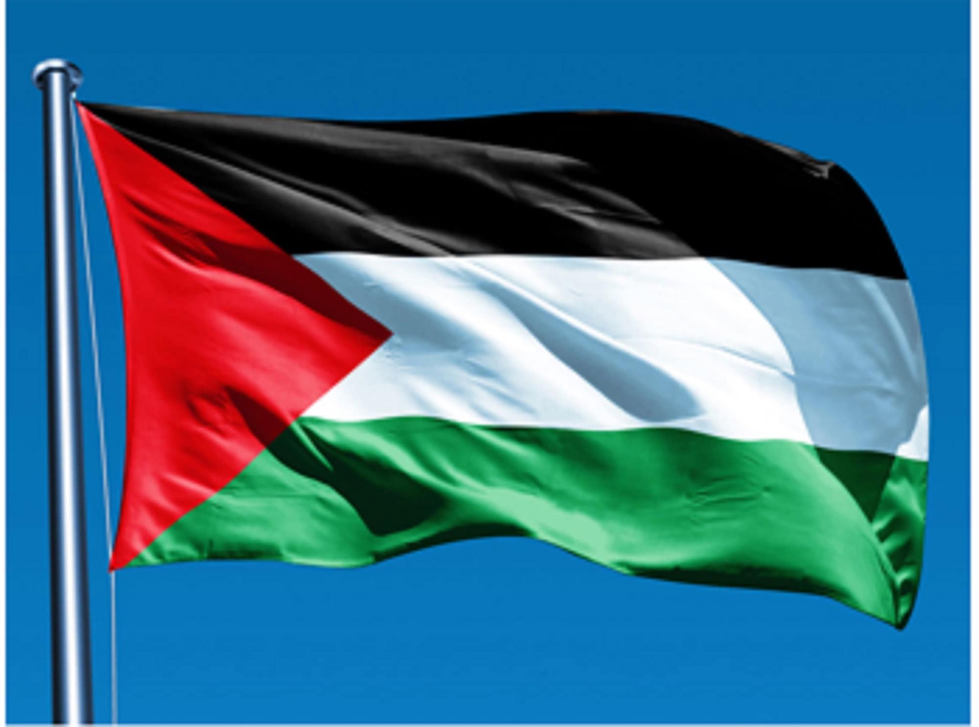 Palestine National Flag - 3x5 Feet, 100% Durable Polyester - Show Your ...