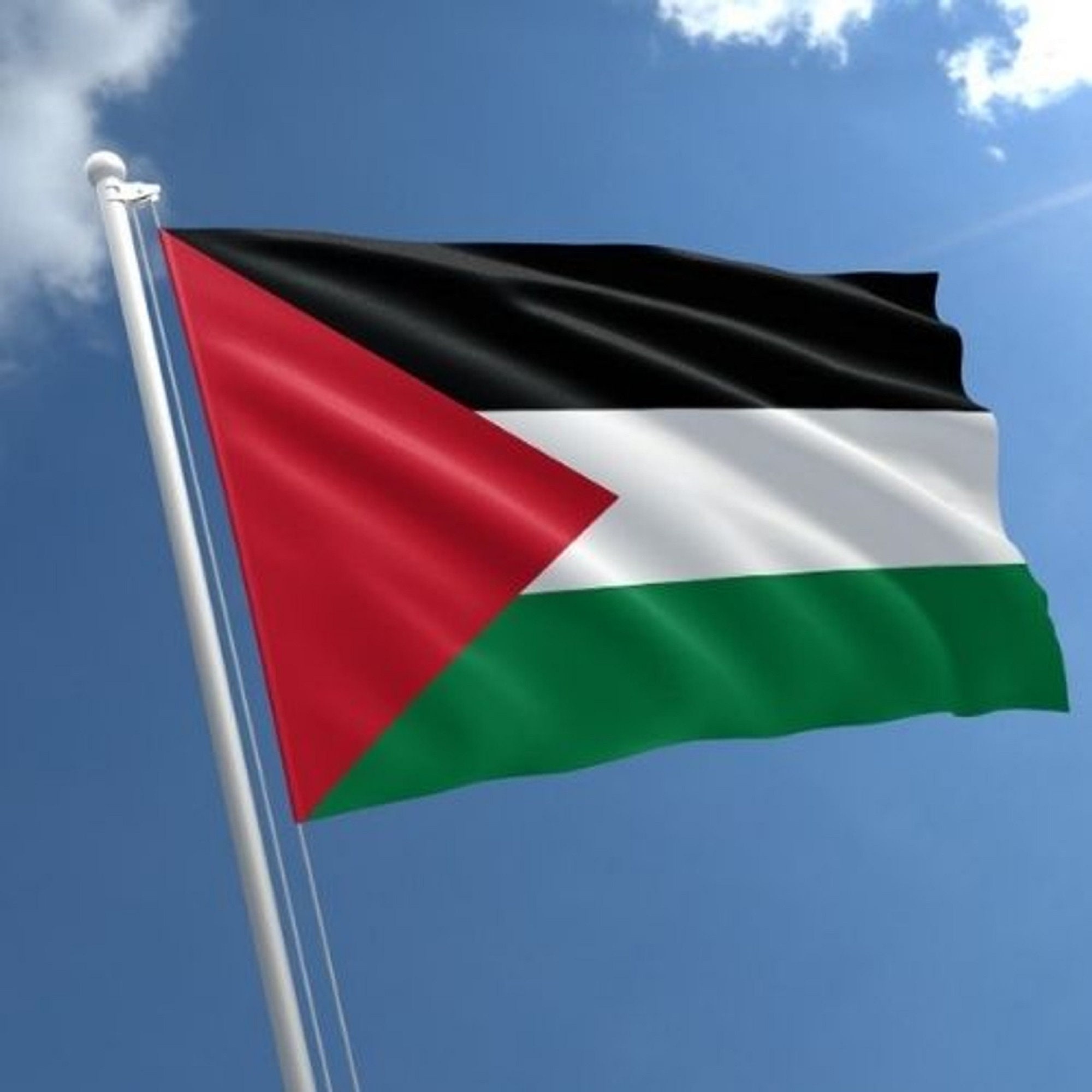 Palestine National Flag - 3x5 Feet, 100% Durable Polyester - Show Your ...