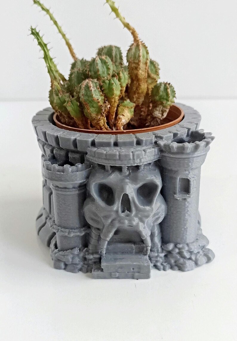 He-man Castle Grayskull Pot, Indoor Tiny Herb Planter, Horror Cactus ...