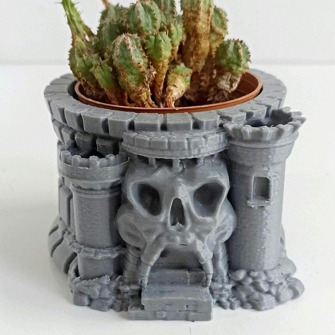 Castle Grayskull Pot | 3D Printed He-man Skull Planter | Succulent Desk ...