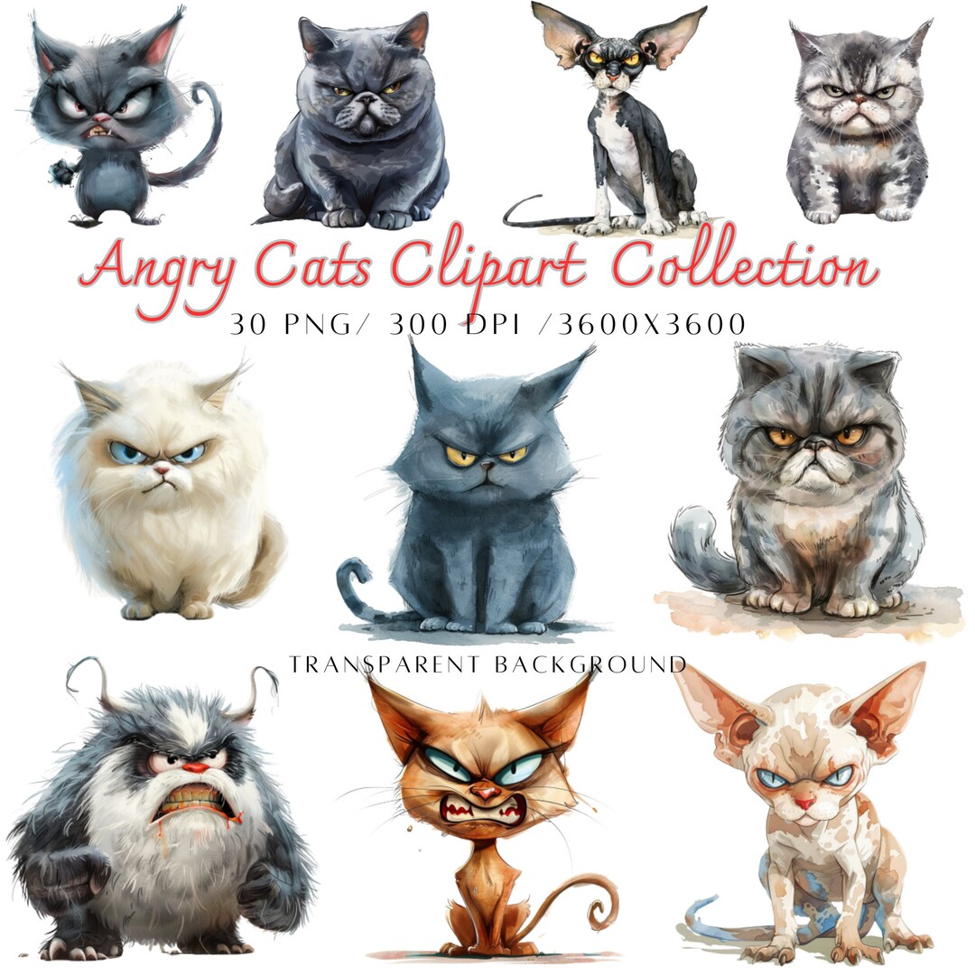 Angry Cat Clipart ,30 PNG ,cat Lover, Crazy Kitten , Transparent ...