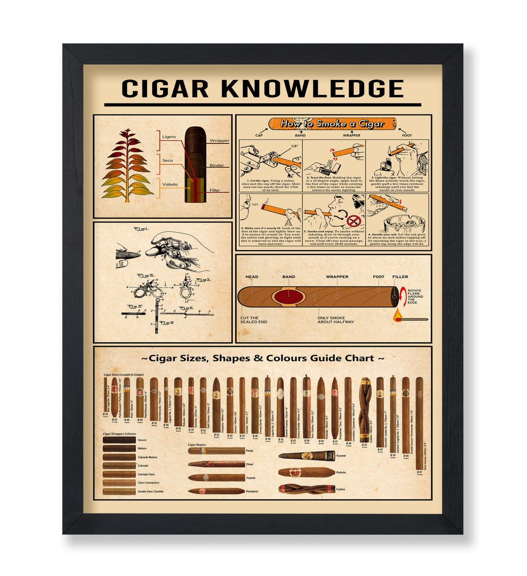 Cigar Knowledge Poster - Cigar Sizes, Shapes & Colors Guide Print ...