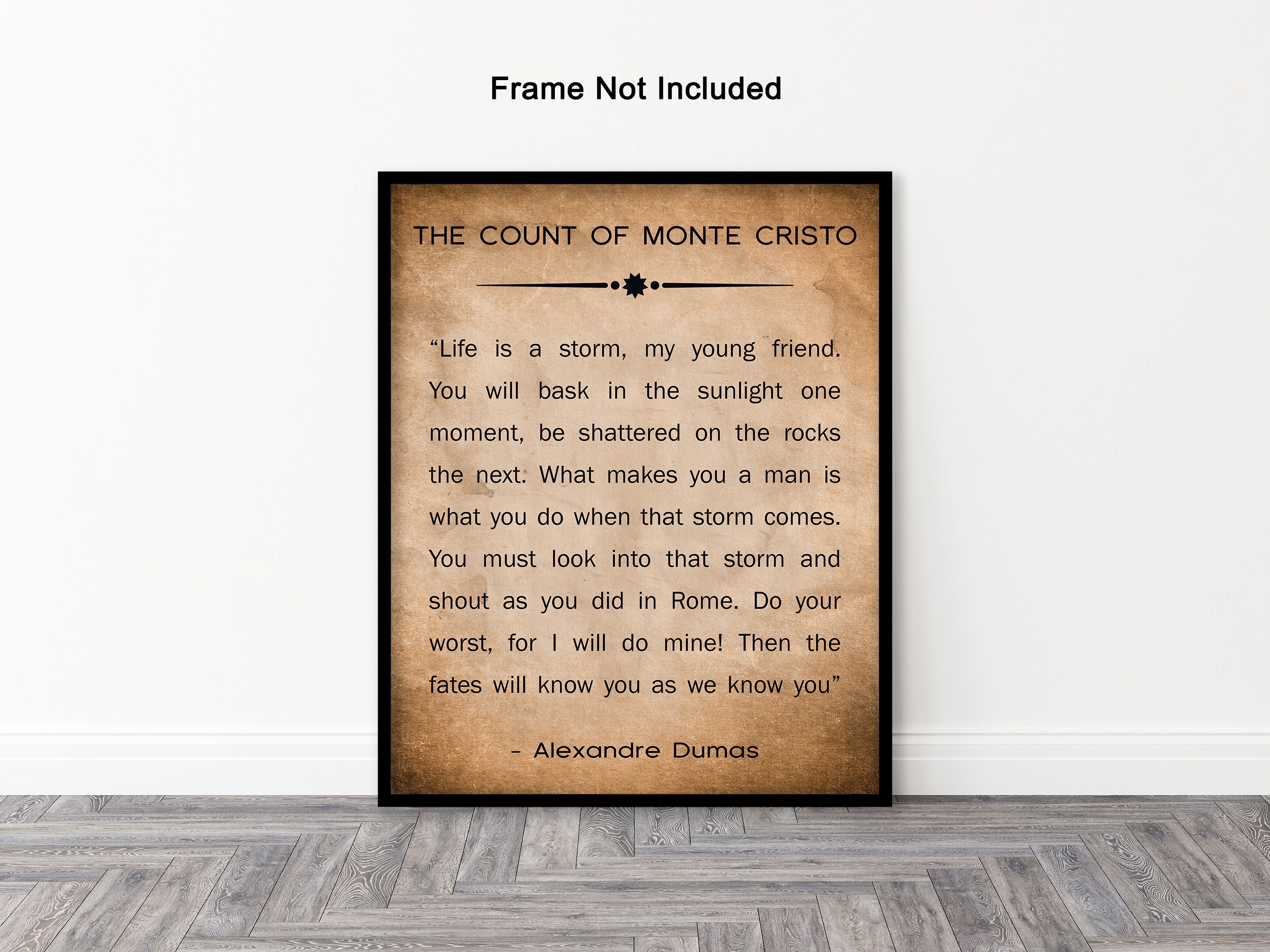 The Count of Monte Cristo Poster Life is a Storm Print Dumas Art Gift ...