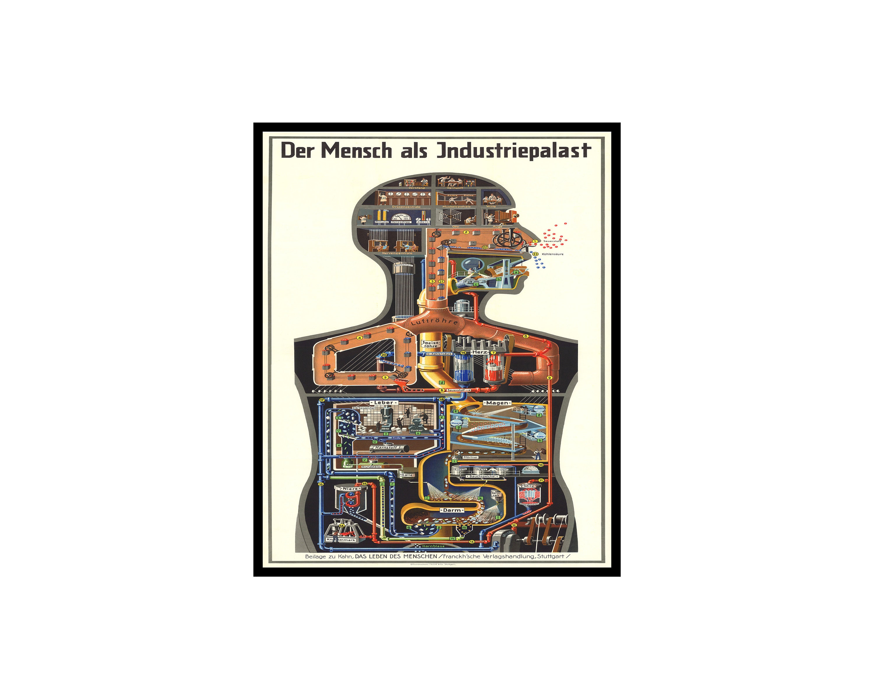 Vintage Fritz Kahn Poster Retro Man as Industrial Palace Print ...