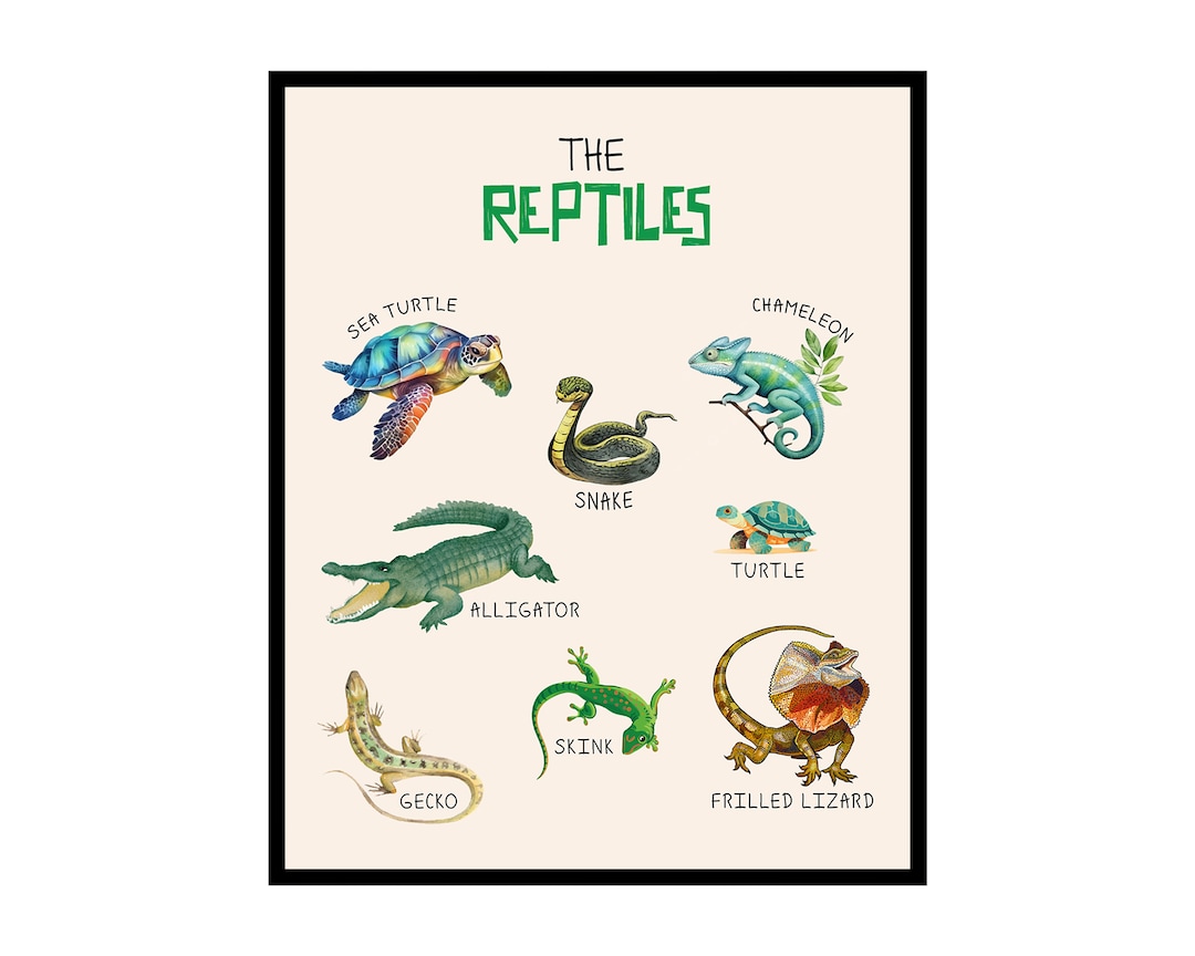 The Reptiles Poster Learning Materials Print Animal Art Gift for ...