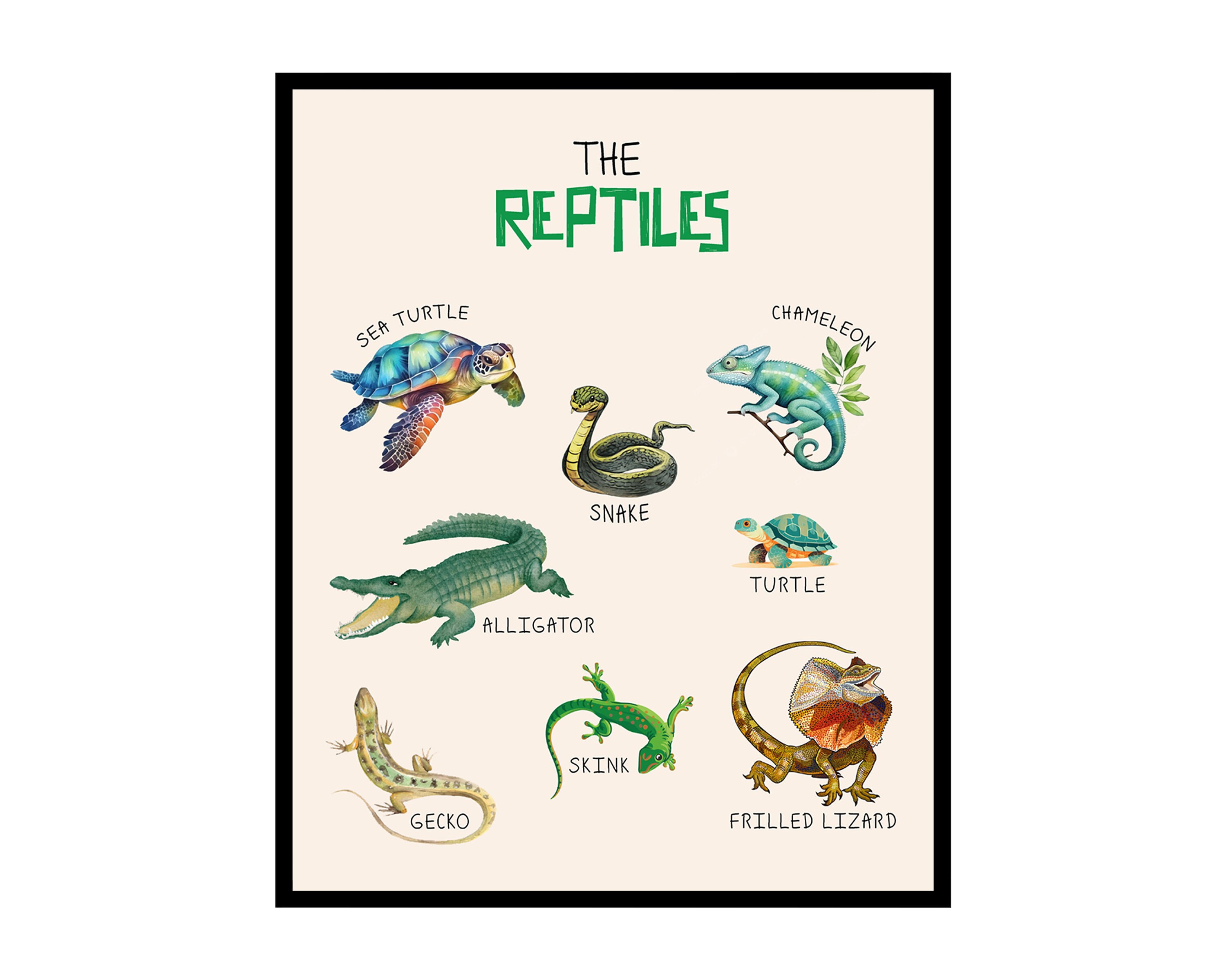 The Reptiles Poster Learning Materials Print Animal Art Gift for ...
