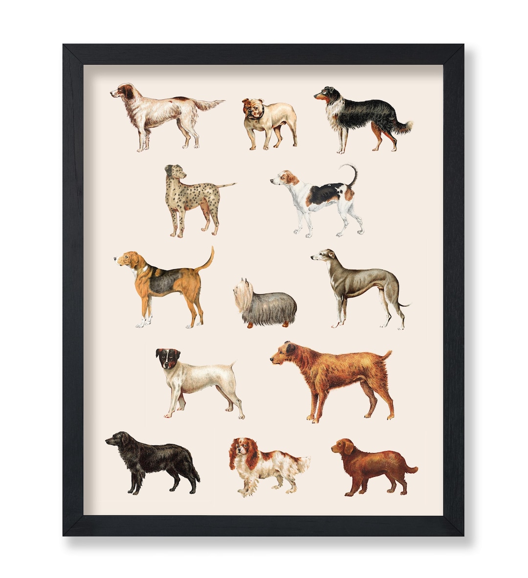 Vintage Dog Breeds Poster - Retro Dog Print - Puppy Art - Dog Lover Art ...
