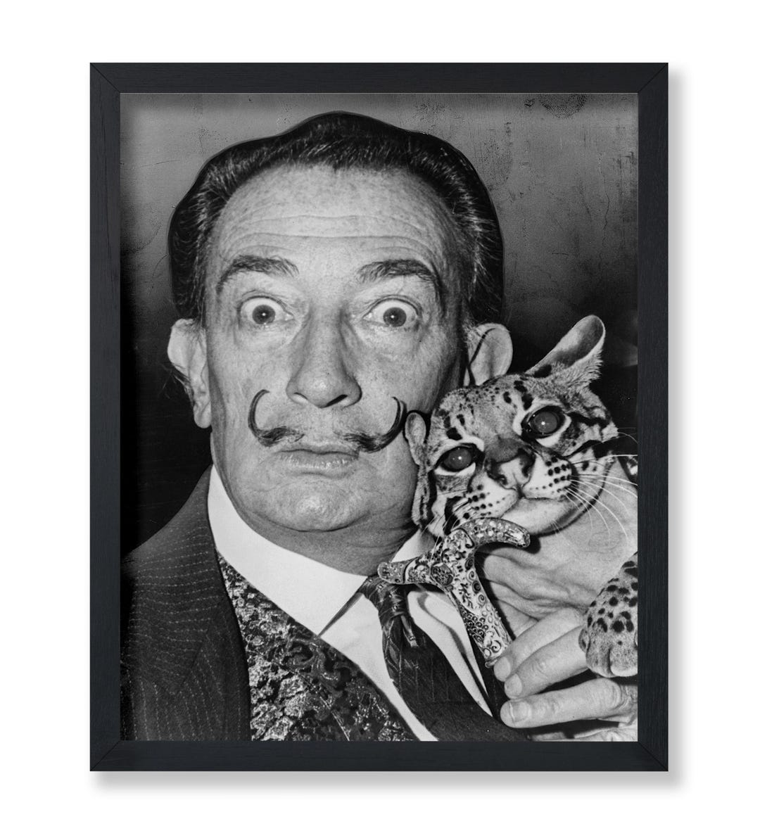Portrait Print - Pet Ocelot Babou Poster - Black & White Photography ...