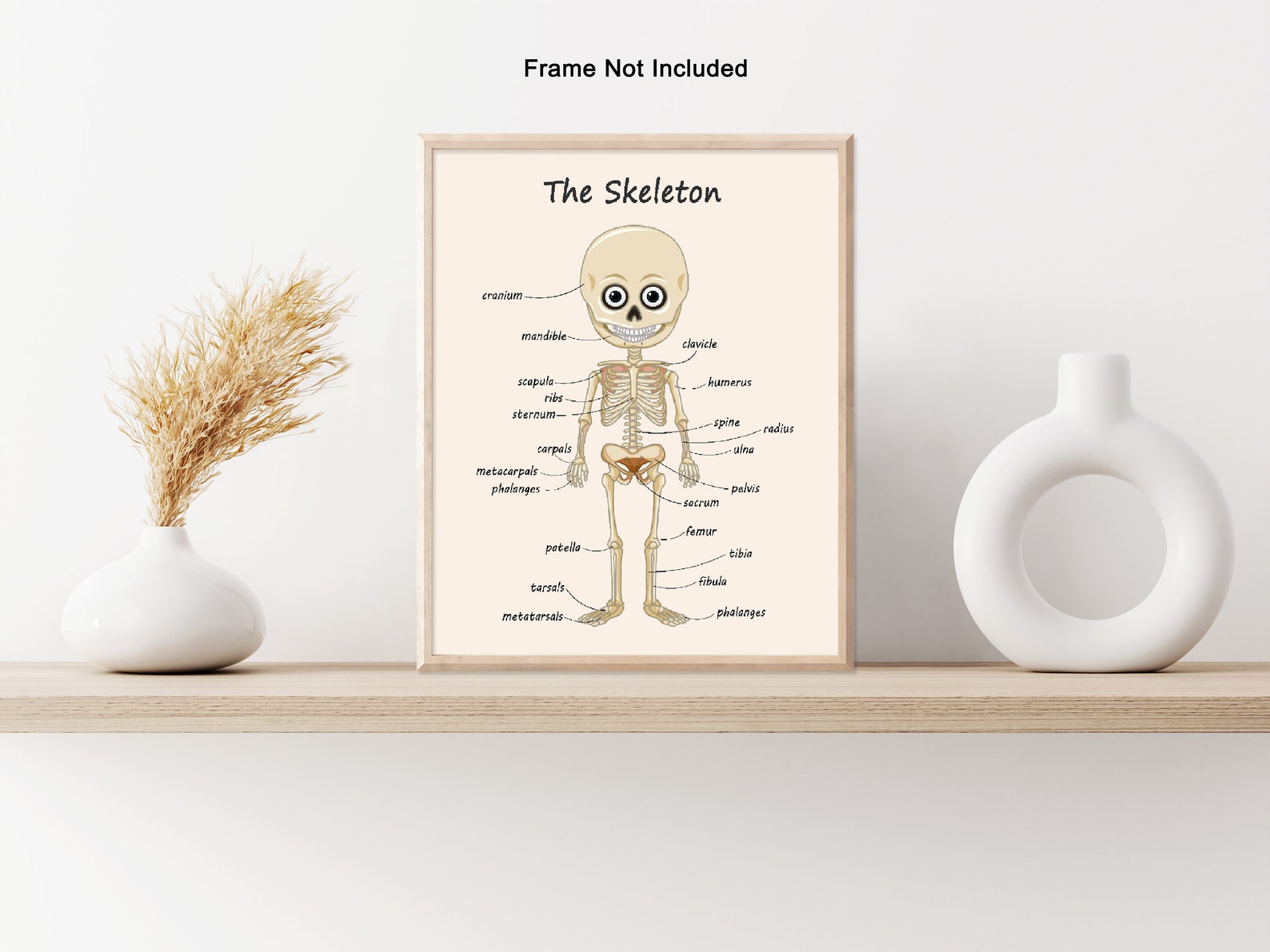 The Skeleton Poster Human Skeleton Print Learning Materials Art Gift ...