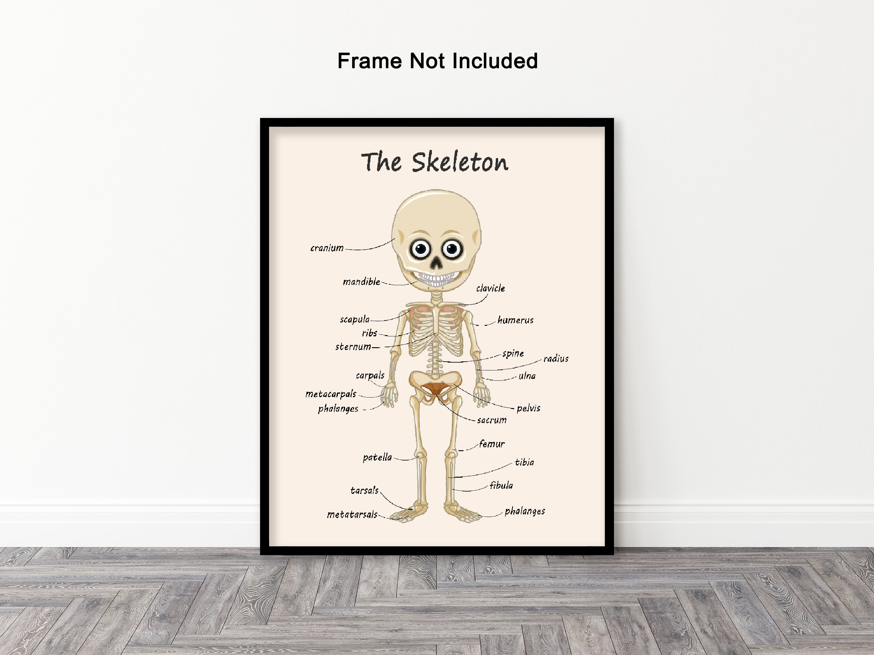 The Skeleton Poster Human Skeleton Print Learning Materials Art Gift ...