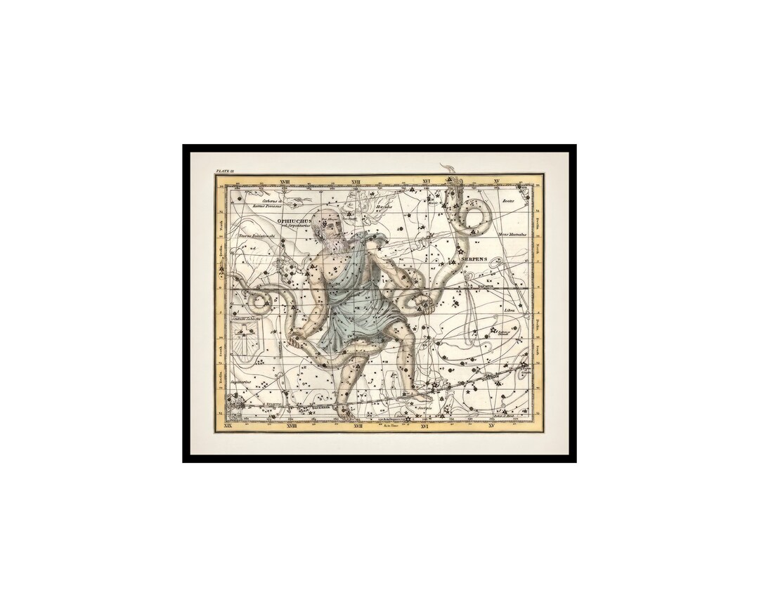 Ophiuchus, Serpens Zodiac Sign Poster, Unframed Art Print, Great ...