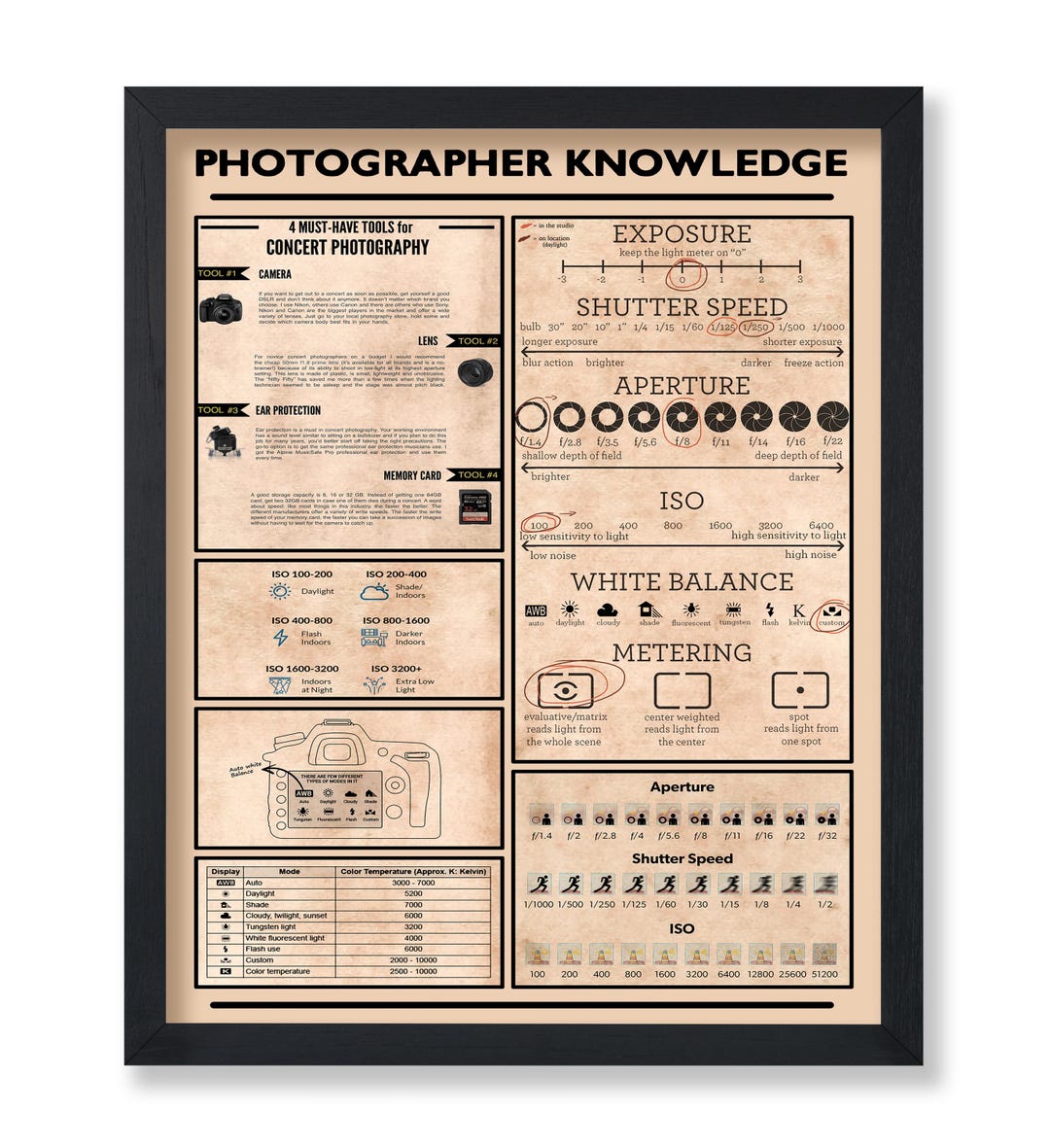 Photographer Knowledge Poster - Photography Chart Print - Infographic ...