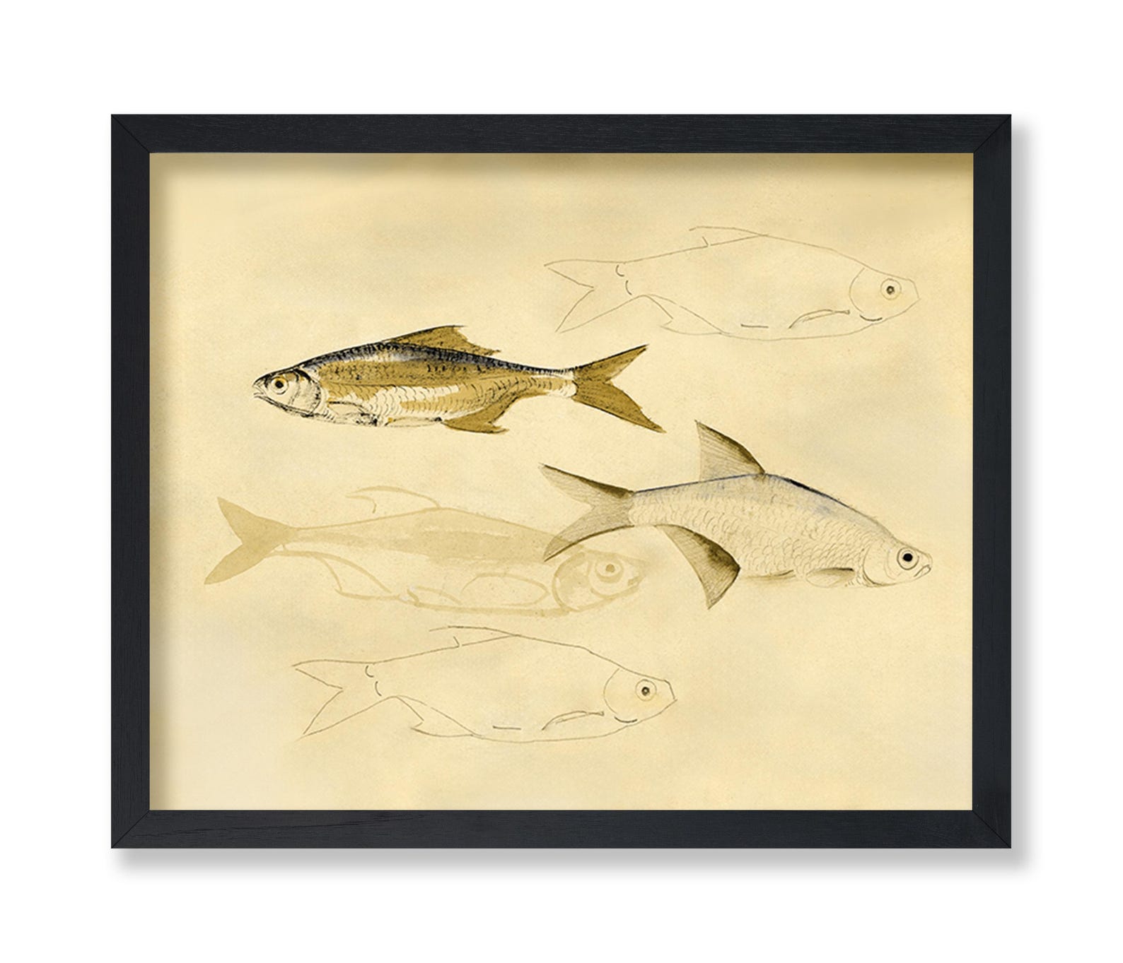 Vintage Fish Sketch Poster - Retro Fish Print - Aquatic Art - Marine ...