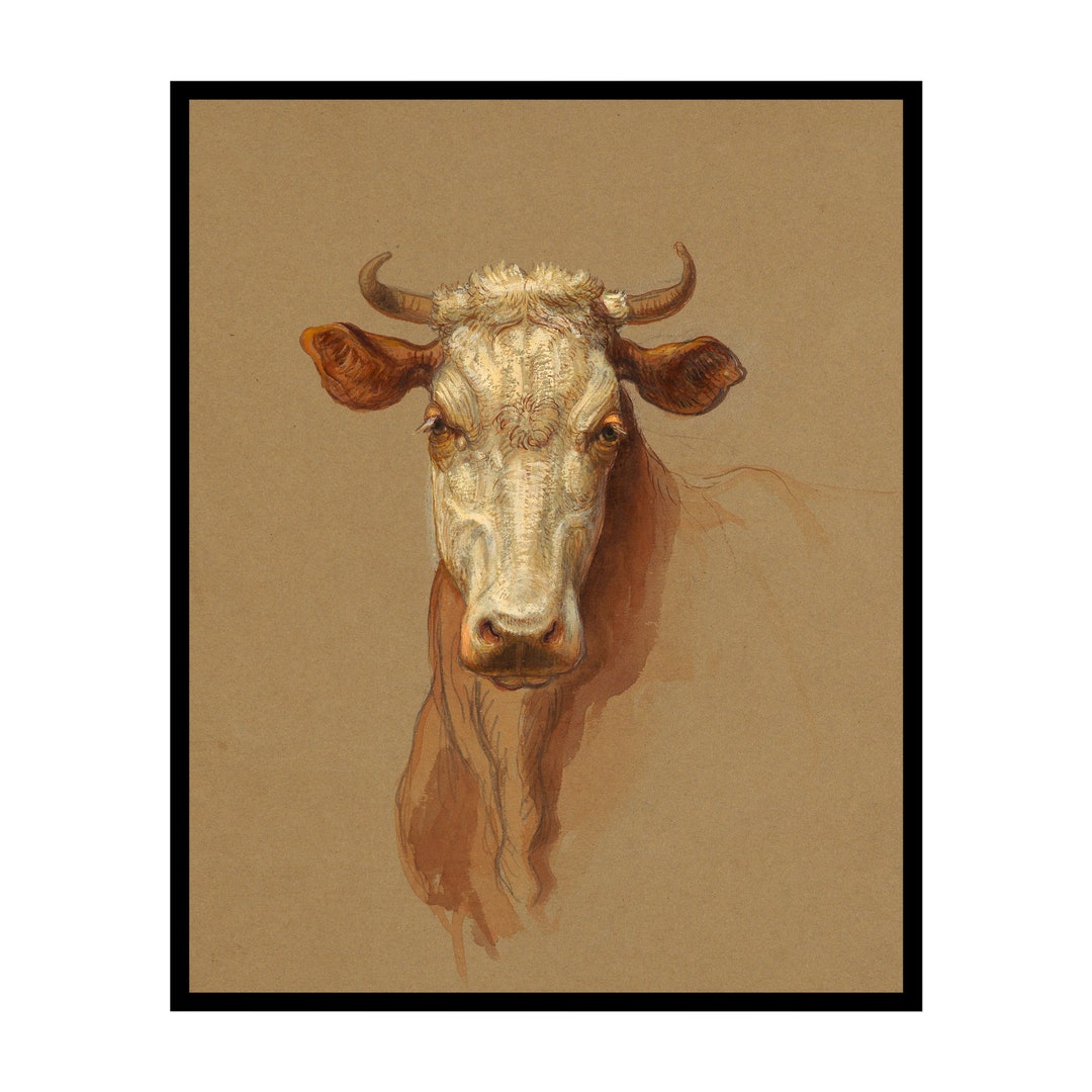Vintage Cow Poster Retro Ox Print Cattle Art Wild West Art Rustic Decor ...