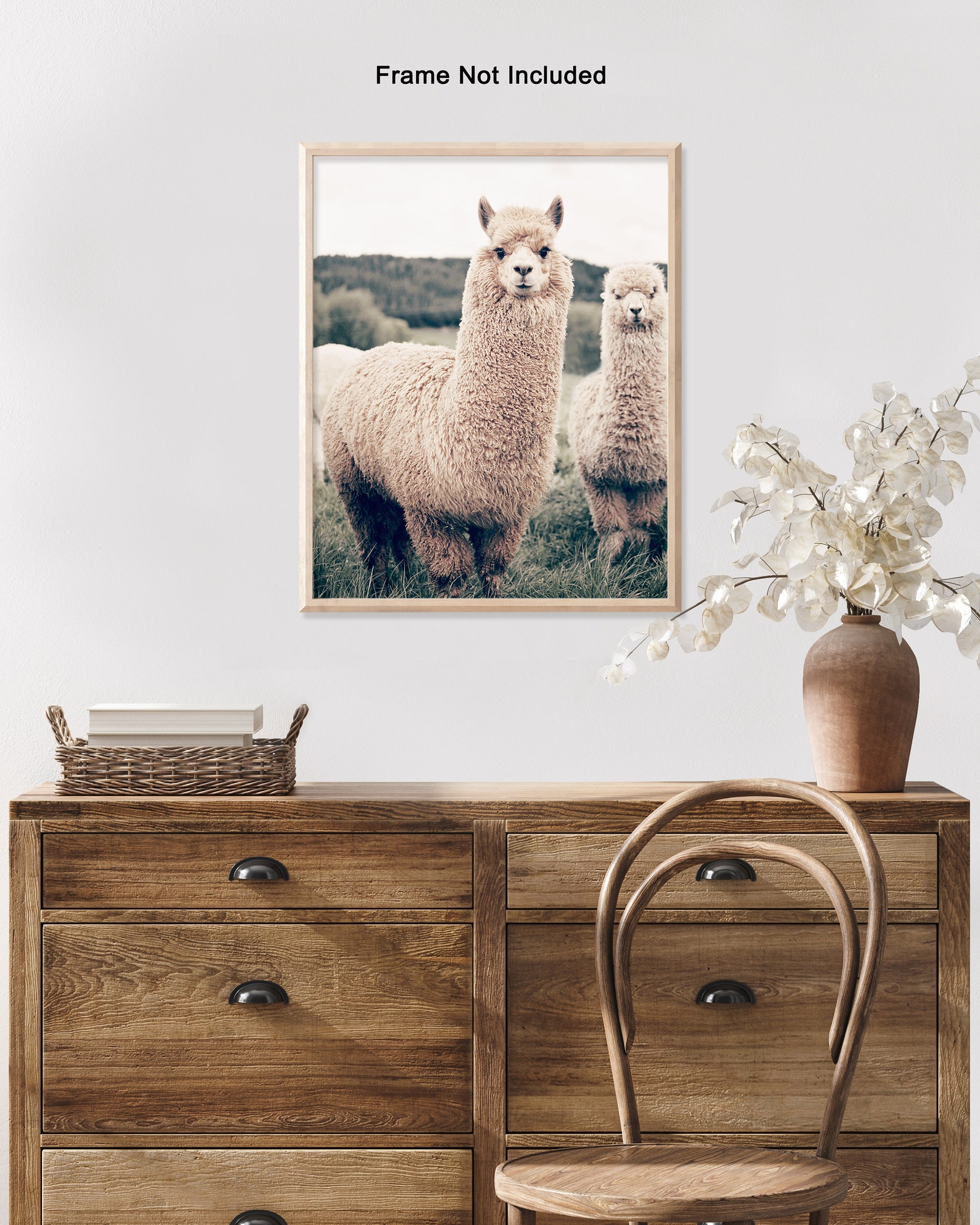 Alpaca Poster Alpacas on Grassland Print Photography Art Gift for ...