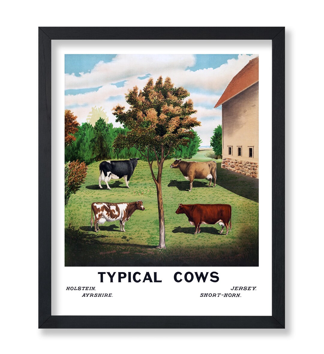 Vintage Typical Cows Poster - Retro Cattle Print - Cow Art - Livestock ...