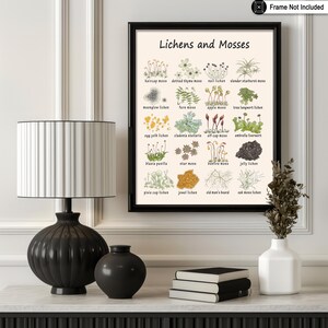 Lichens & Mosses Poster - Educational Print - Learning Materials Art ...