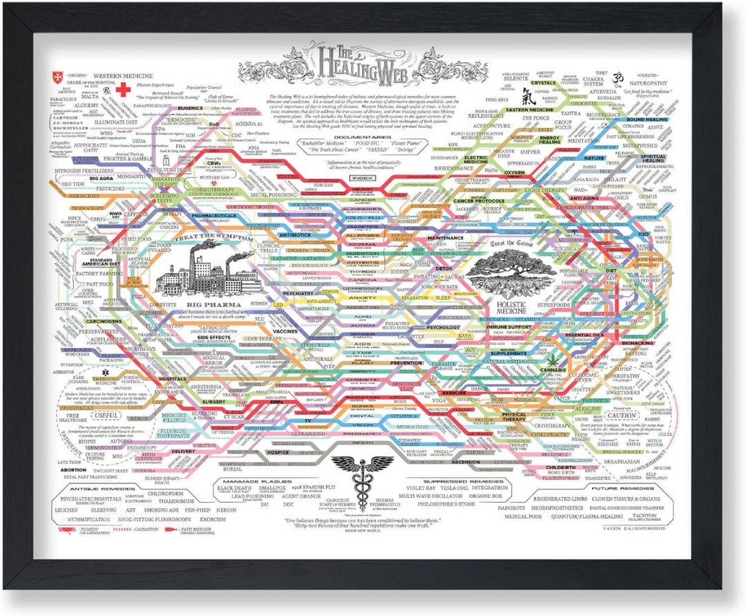 The Healing Web Print - Health Diagram Poster - Holistic Therapy Art ...
