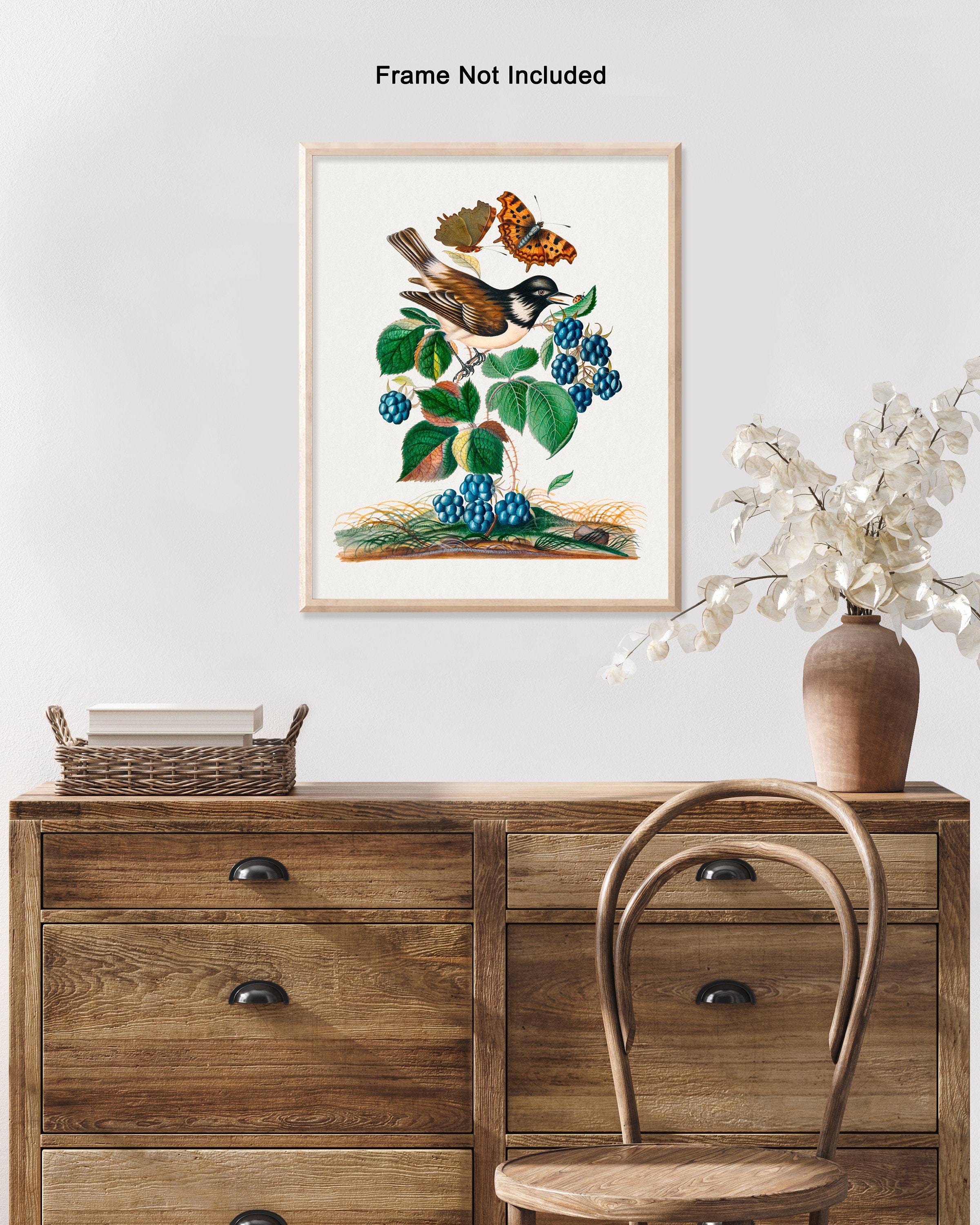 Vintage White Cheeked Starling Poster Retro Bird and Brambleberry Print ...