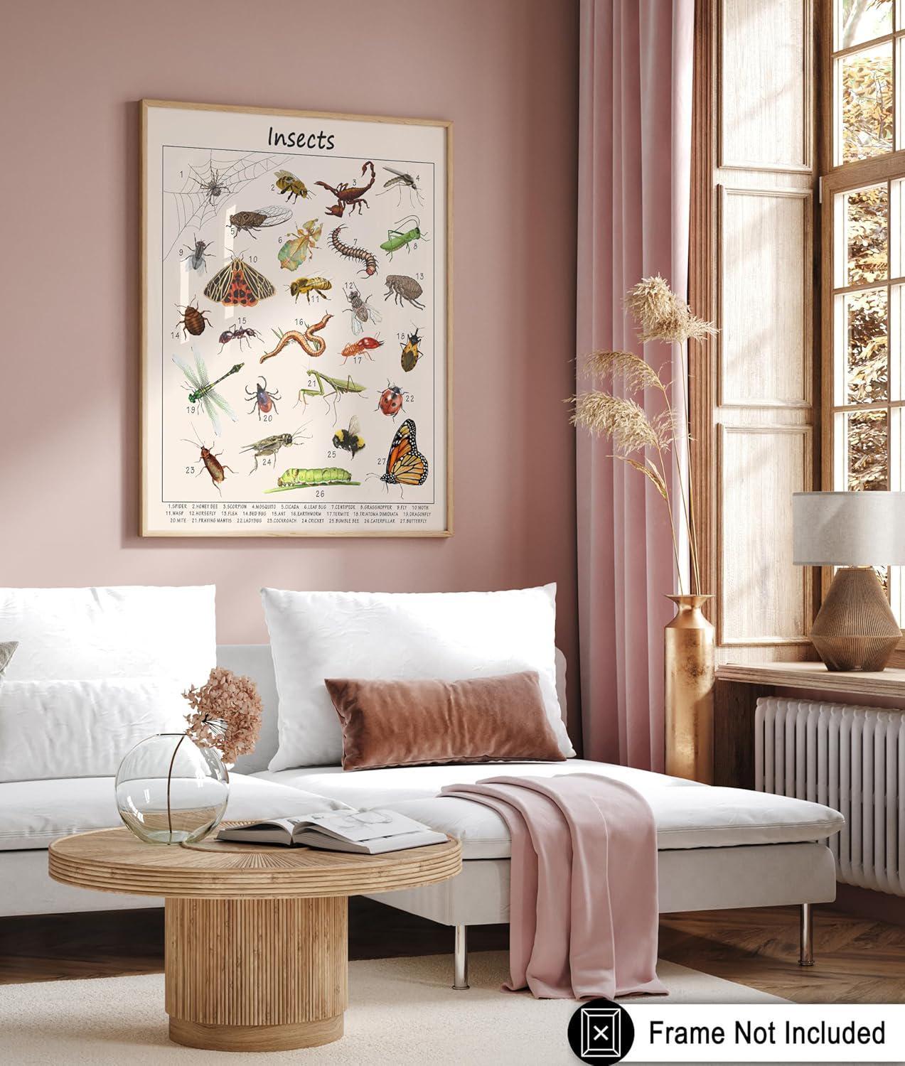Insects Poster - Educational Print - Learning Materials Art - Gift for ...