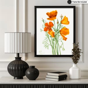 Retro California Poppy Poster - Vintage Flower Print - Bedroom Decor ...