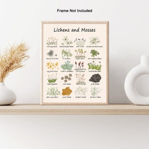 Lichens & Mosses Poster Educational Print Learning Materials Art Gift ...