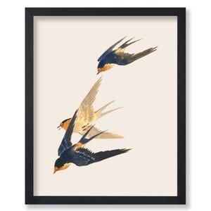 Vintage Swallows in Flight Poster - Retro Three Birds in Flight Print ...