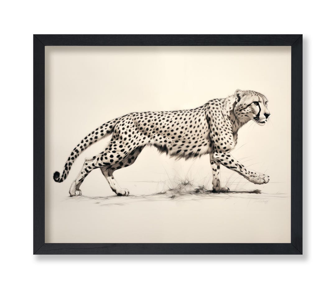 Cheetah Poster - Striding Cheetah Print - Drawing Art - Sketch Art ...