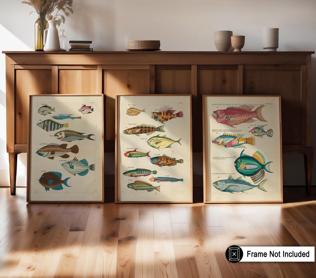 3-piece Vintage Tropical Fish Poster - Retro Aquatic Print - Marine ...
