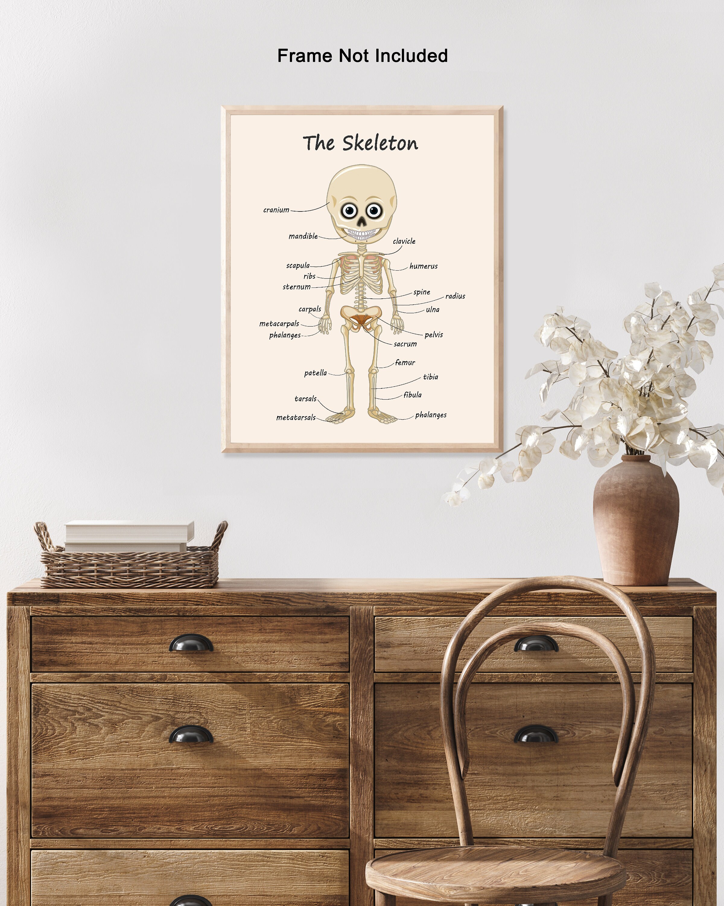 The Skeleton Poster Human Skeleton Print Learning Materials Art Gift ...
